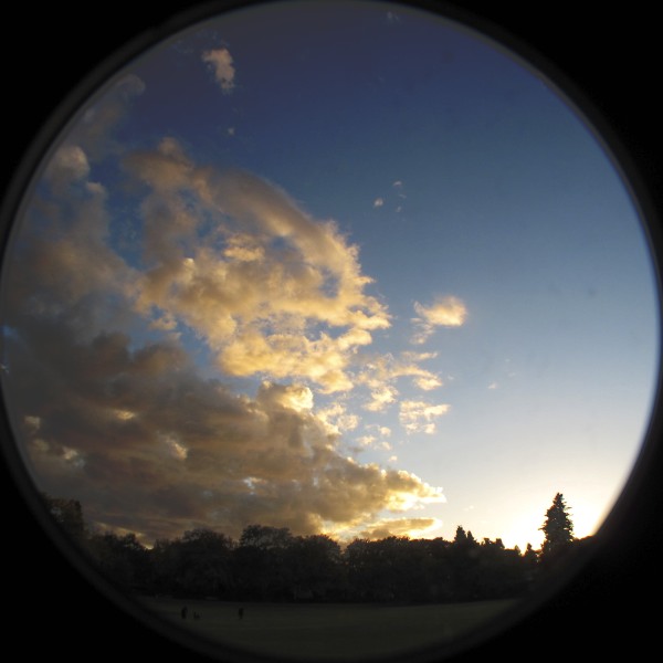 DJB: Photographer – David Bird